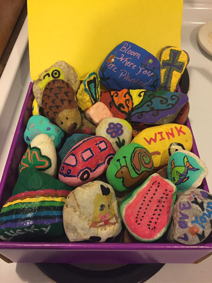 havertown rocks • Haverford Township Free Library